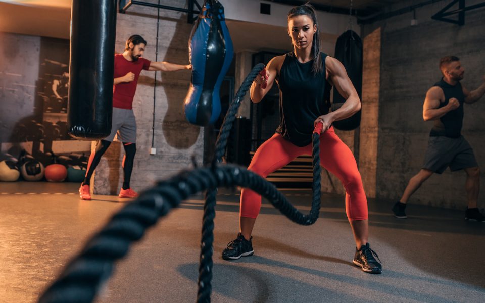 16 Pros and Cons of Battle Ropes You Should Know – If Looks Could Kale