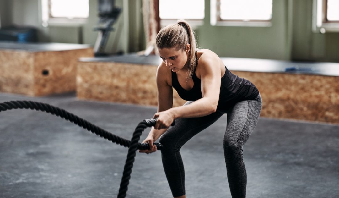 16 Pros and Cons of Battle Ropes You Should Know – If Looks Could Kale